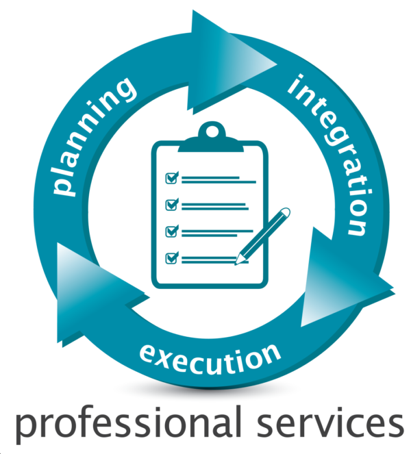 Professional Services - Technisaur